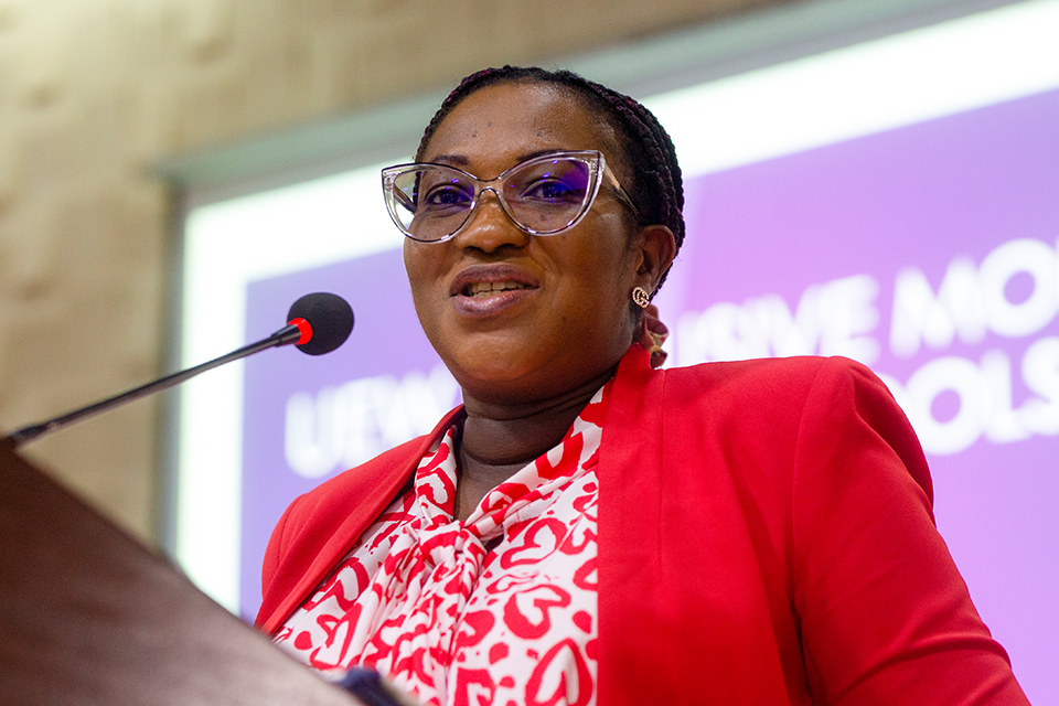 UEW Model Basic School Committee Engages Stakeholders in Ultramodern Project | University of ...